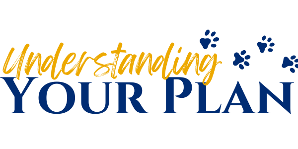 Financial Aid Plan FAQs